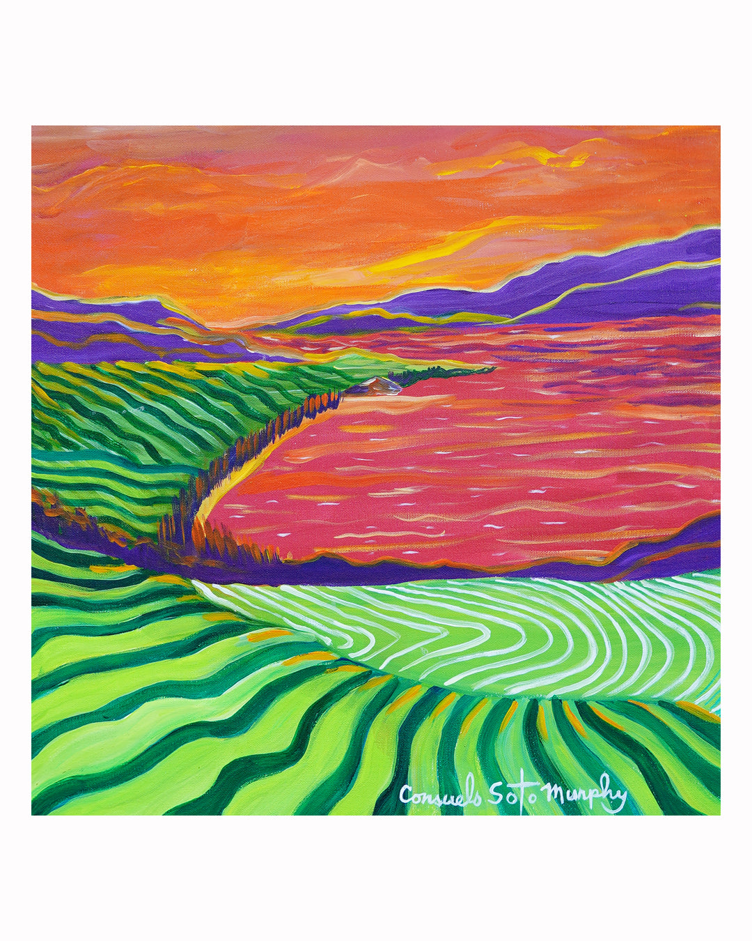 Soto Art – Consuelo Soto Murphy