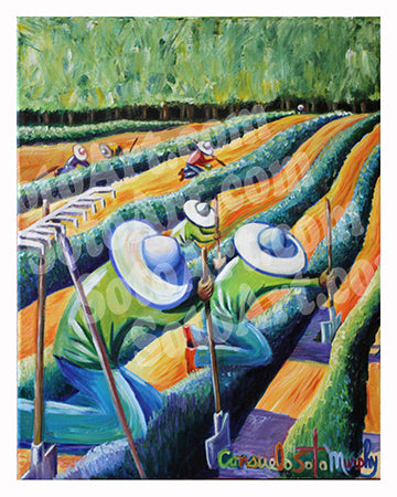 Cleaning Rows – Consuelo Soto Murphy